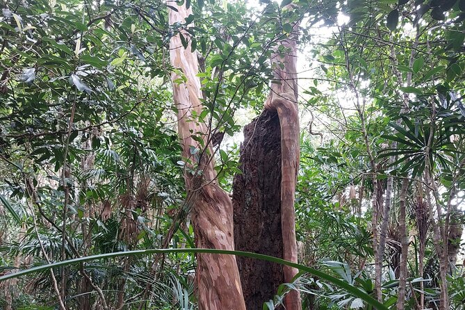 Trek Nui Chua Experience 2D1N, Night in the Jungle - Vinh Hy Bay - A Practical Look at the Tour Itinerary