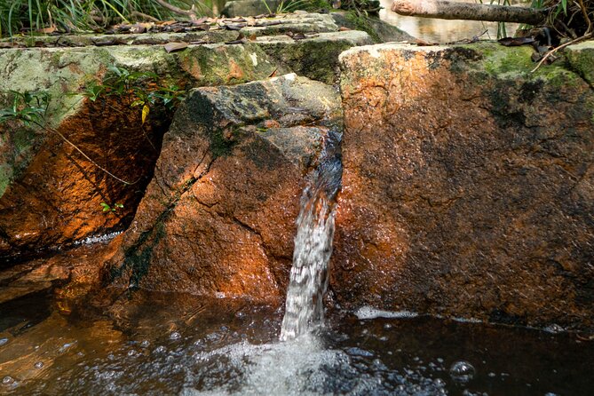 Trek Nui Chua Experience 2D1N, Night in the Jungle - Vinh Hy Bay - Authentic Feedback from Travelers