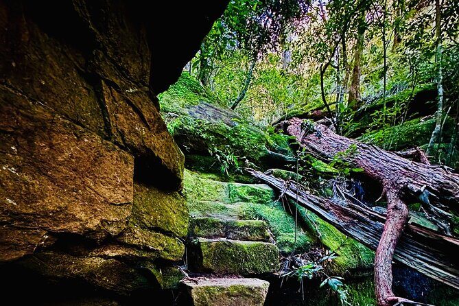 Trek Shoot and Soothe Hiking Tour from Springwood Blue Mountains - What’s Included and What’s Not