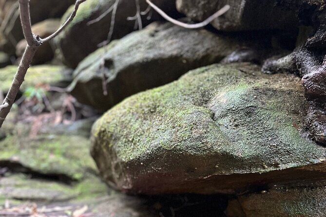 Trek Shoot and Soothe Hiking Tour from Springwood Blue Mountains - Authentic Experiences and Honest Feedback