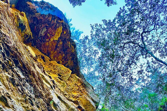 Trek Shoot and Soothe Hiking Tour from Springwood Blue Mountains - The Weather Factor