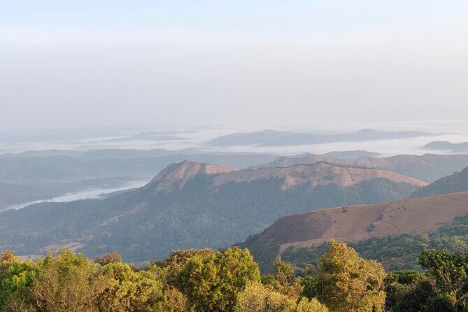 Trek the Kodachadri Summit - Key Points