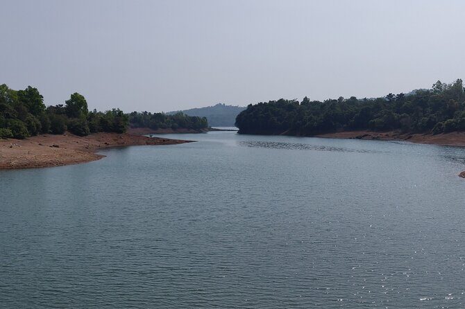 Trek the Kodachadri Summit - What Makes the Kodachadri Trek Special?