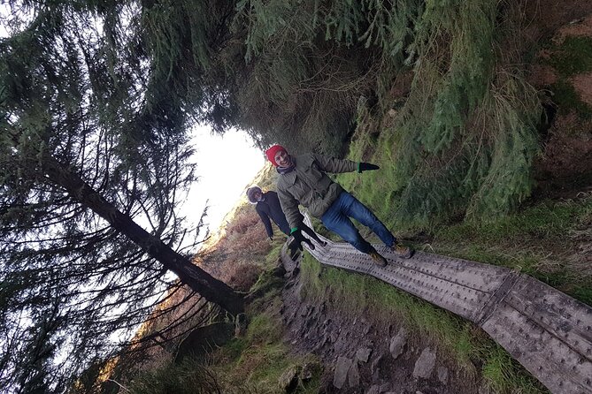 Trek the Tombs and Trails in the Dublin Mountains - The Richness of Irish Myths