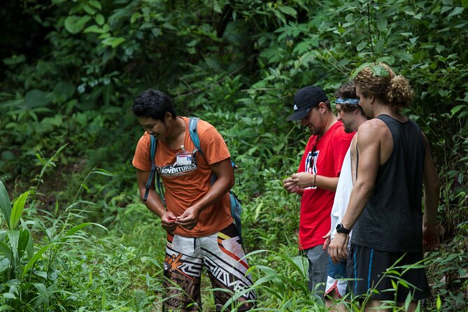 Trek to a Jungle Waterfall - An In-Depth Look at the Jungle Waterfall Trek