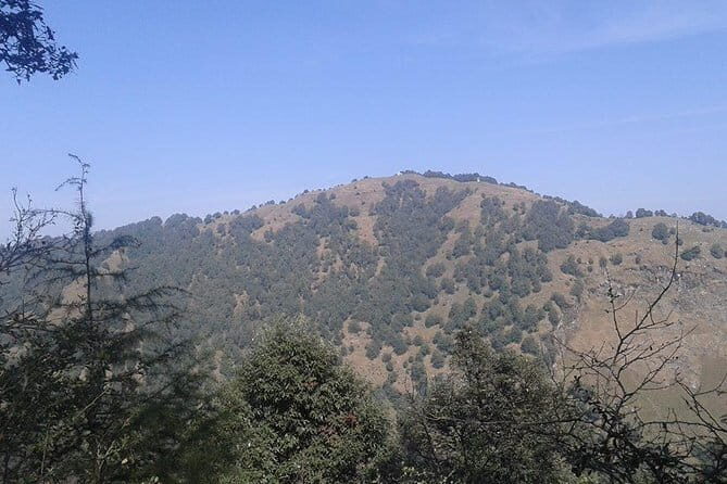 Trek to Benog Tibba - Discover the Treasures of Benog Tibba: A Detailed Review