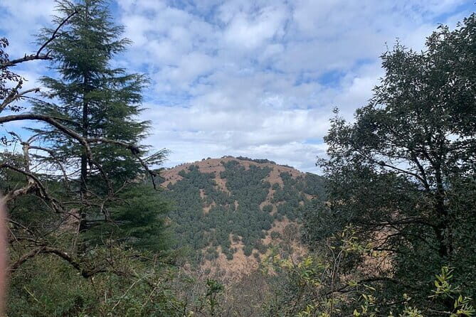 Trek to Benog Tibba - FAQs
