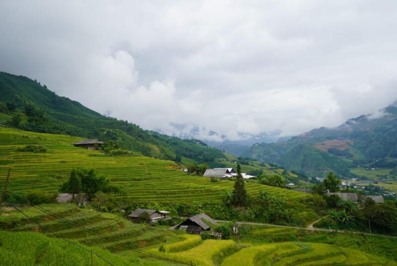 Trek to Local Ethnic Villages & Muong Hoa Valley/Guide/Lunch - The Sum Up