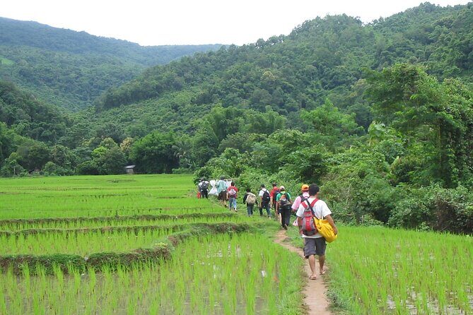 Trek to Tad Sae Waterfalls, Local Village - An In-Depth Look at the Experience
