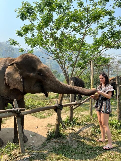 Trekking 2 Days 1 Night with Elephant Care + Bamboo Rafting - FAQ