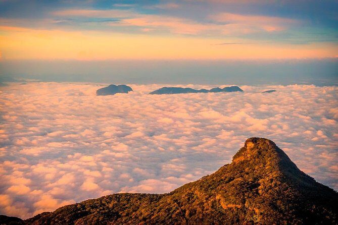 Trekking Adam's Peak Safari & Night Life at Adam's Peak. - The Full Journey: What to Expect on the Tour