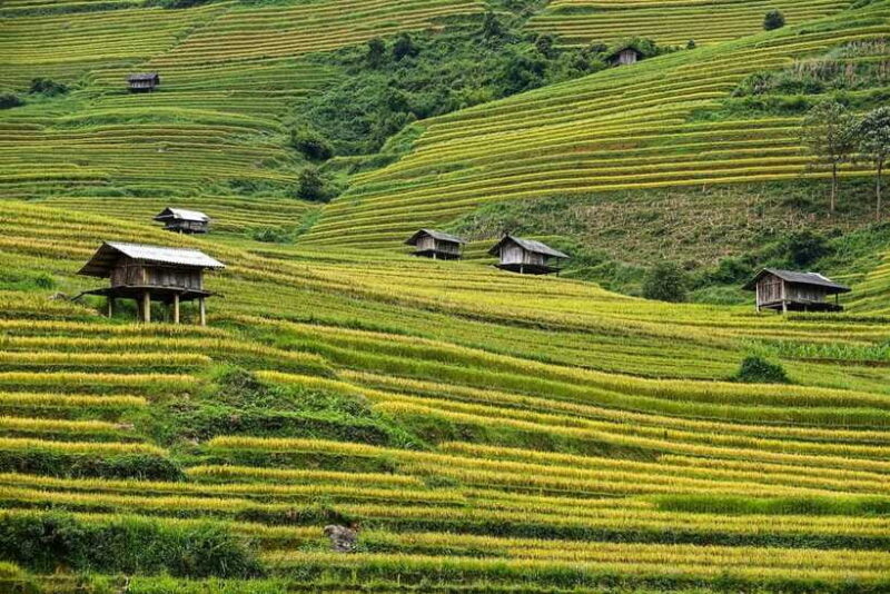 Trekking and Motorbike full day in Mu Cang Chai - Practical Considerations: What to Expect and Prepare For