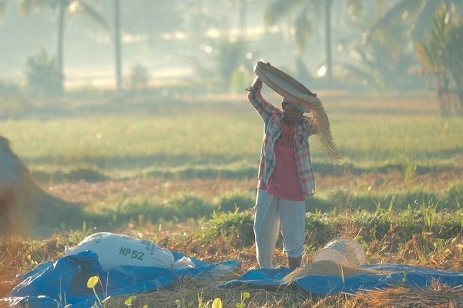 Trekking and Sightseeing tour with lunch - Who Is This Tour Best For?