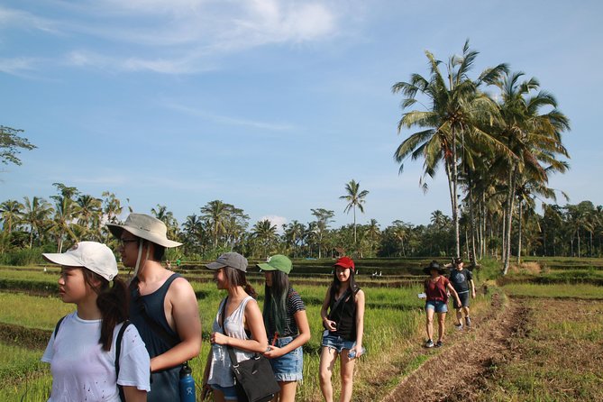 Trekking and Sightseeing tour with lunch - Final Thoughts on the Bali Trekking and Sightseeing Tour