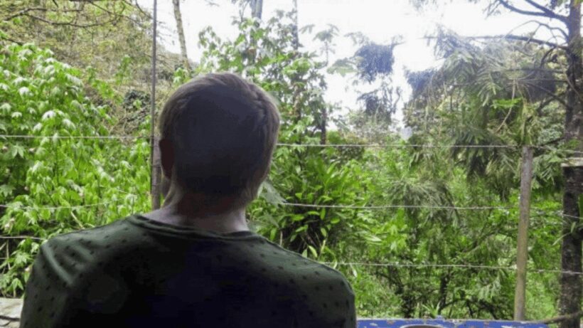 Trekking/Hiking in the Cocora Valley from Pereira or Armenia - Final Thoughts: Is It Worth It?