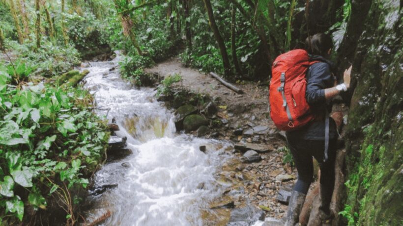 Trekking/Hiking in the Cocora Valley from Pereira or Armenia - FAQs