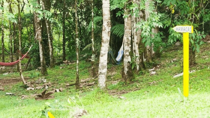 Trekking/Hiking Yarumo Blanco Waterfall from Pereira or Arme - Key Points