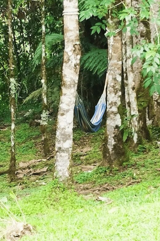 Trekking/Hiking Yarumo Blanco Waterfall from Pereira or Arme - Final Thoughts