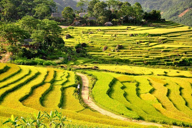 Trekking In Mai Chau - Pu Luong Nature Reserve Tour 3 Days - Who This Tour Is Perfect For
