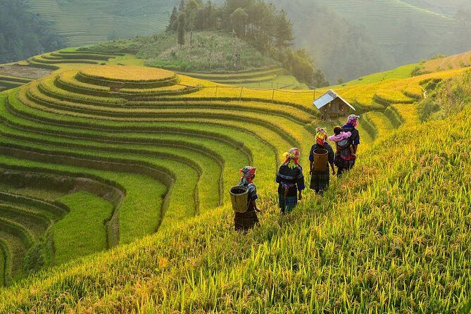 Trekking In Mu Cang Chai Tour 4 Days - A Deep Dive into the 4-Day Mu Cang Chai Trekking Tour