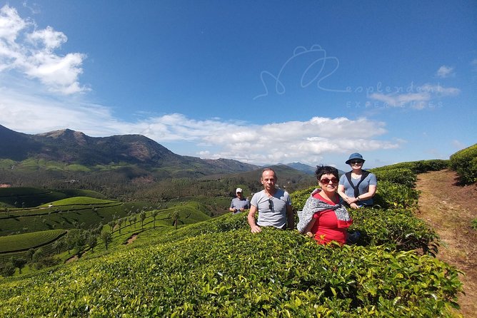 Trekking in Munnar - Concluding Thoughts