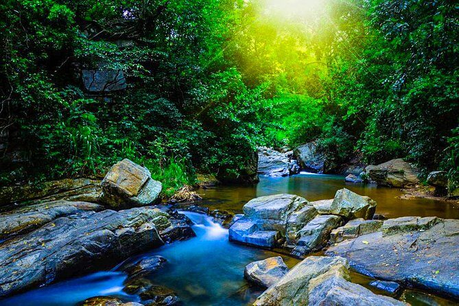 Trekking in Sinharaja Rainforest - Key Points