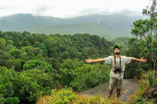 Trekking in Sinharaja Rainforest - What Makes This Tour Stand Out
