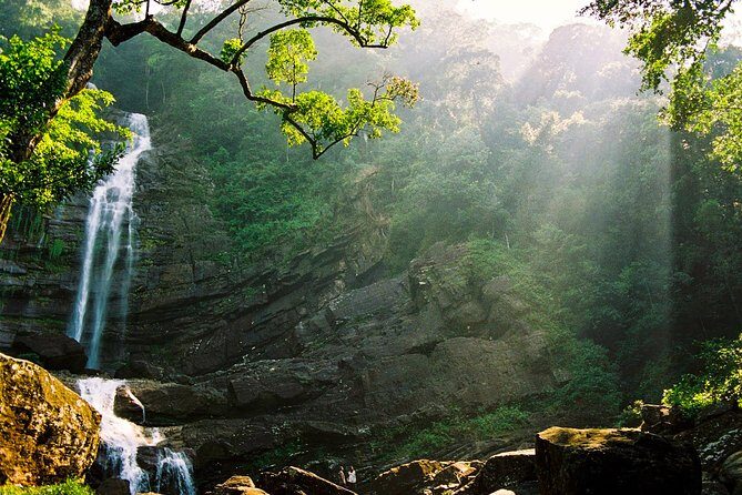 Trekking in Sinharaja Rainforest - Who This Tour Is Best For