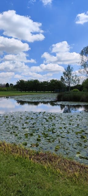 Trekking in the Wood with picnic on the turtles lake - FAQ