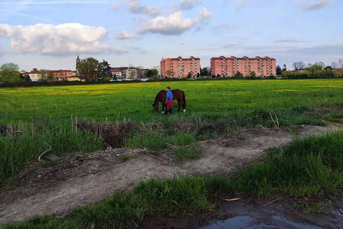 Trekking in the Wood with picnic on the turtles lake - Key Points