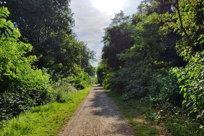 Trekking in the Wood with picnic on the turtles lake - FAQs