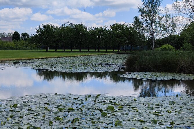 Trekking in the Wood with picnic on the turtles lake - Final Thoughts