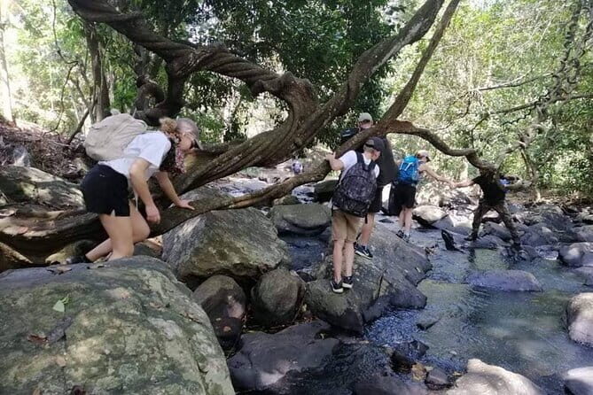 Trekking Knuckles Mountain Range Excursion (4 Days, 3 Nights) - Detailed Review: What to Expect from This 4-Day Sri Lankan Trek