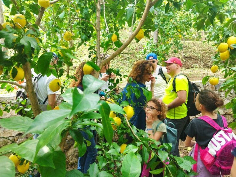 Trekking Lemon Tour - Who Should Consider This Tour?