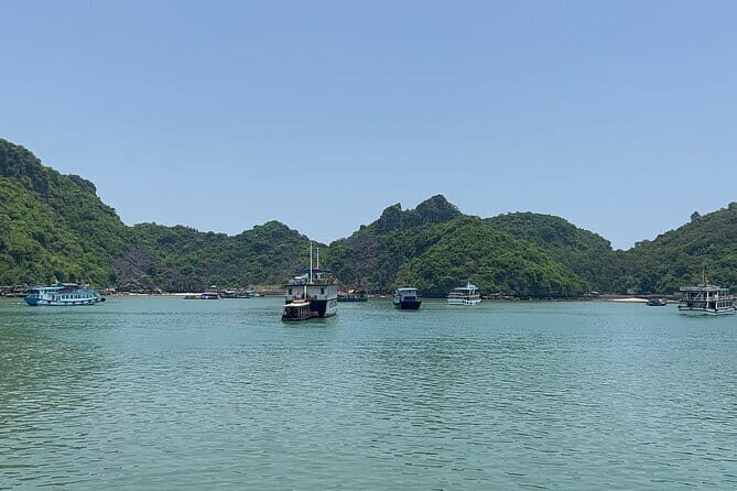 Trekking on Vietnam's hidden trails 13 days 12 nights - Who Will Love This Tour?