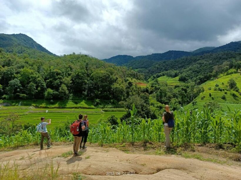 Trekking One Day with Elephant Care + Bamboo Rafting - Practical Tips for Travelers
