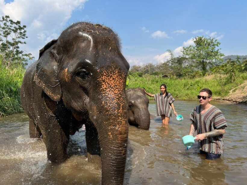 Trekking One Day with Elephant Care + Bamboo Rafting - FAQ