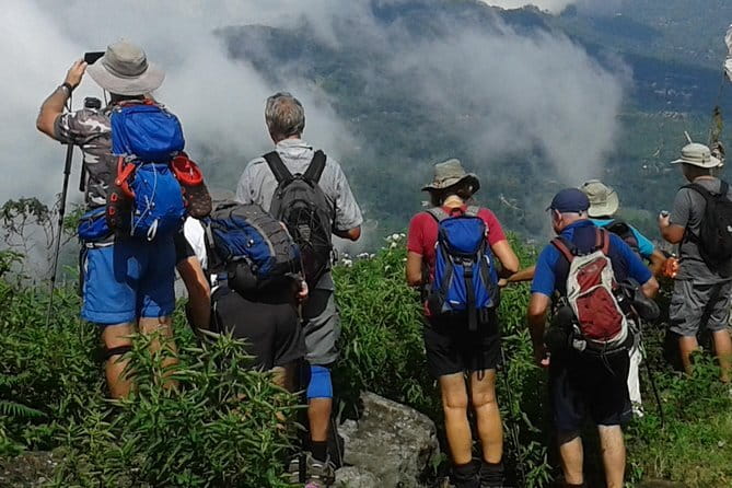 Trekking & Picnic in The Tea Plantation From Ella, Haputale & Bandarawela - Exploring Sri Lanka’s Tea Country: A Deep Dive into the Trekking & Picnic Tour