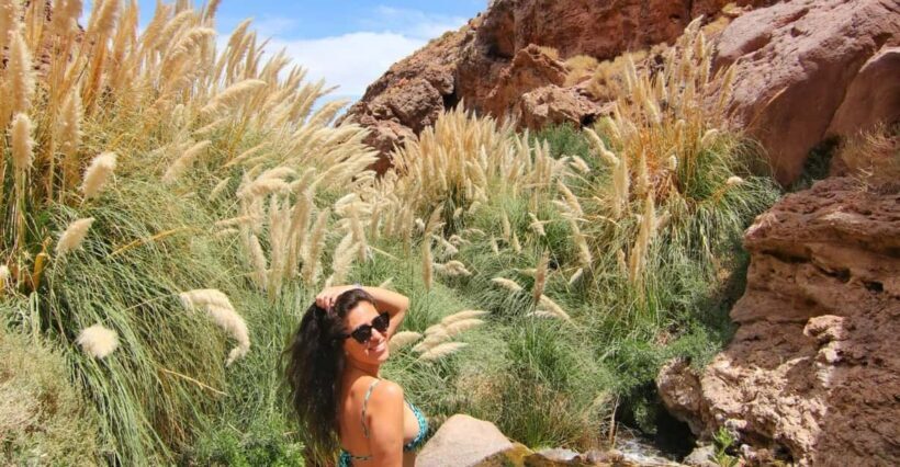 Trekking Purilibre - A Detailed Look at the Trekking Purilibre Experience