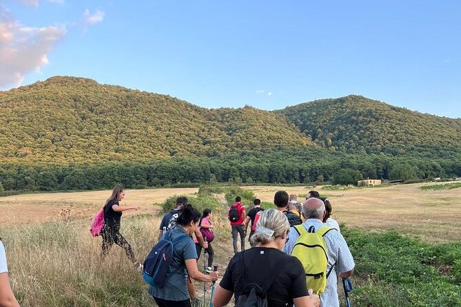 Trekking Rome and Roman Castles: Private Guided Excursions - The Sum Up