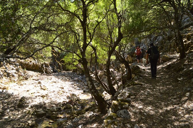 Trekking Rouvas Gorge - FAQ