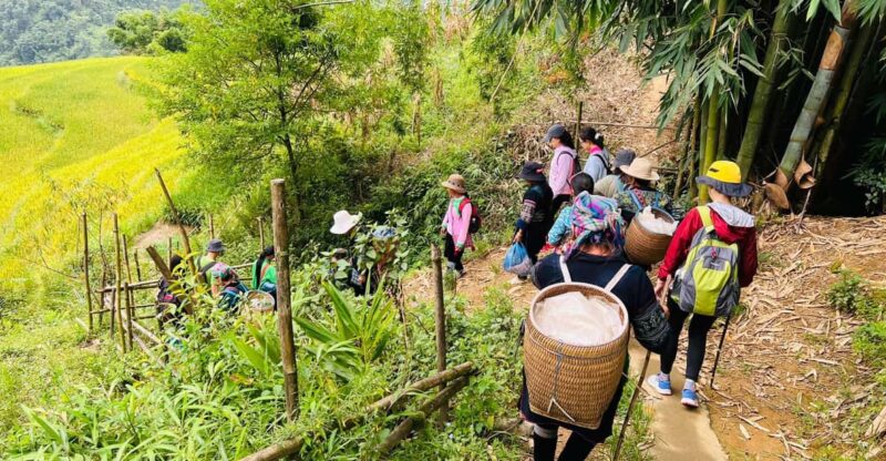 Trekking SaPa 1 Day - the best terraced rice field - Detailed Breakdown of the Itinerary