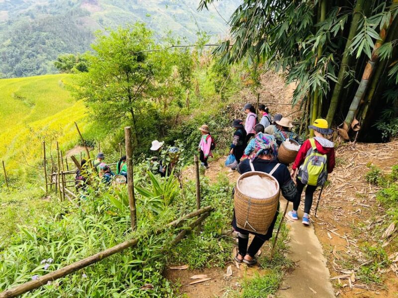 Trekking SaPa 1 Day - the best terraced rice field - What Makes This Tour Special?