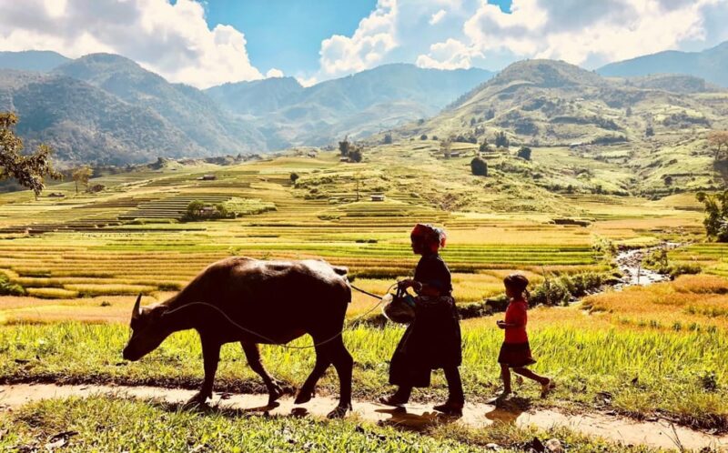 Trekking SaPa 1 Day - the best terraced rice field - The Walking and Photography Experience