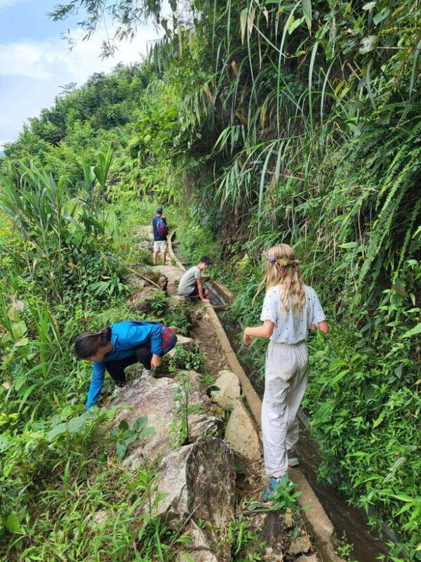 Trekking Sapa 1 Day With Local Guide, Terraced Rice Fields - What Makes This Tour Special