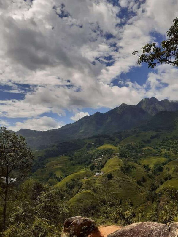 Trekking Sapa 1 Day With Local Guide, Terraced Rice Fields - What Travelers Can Expect