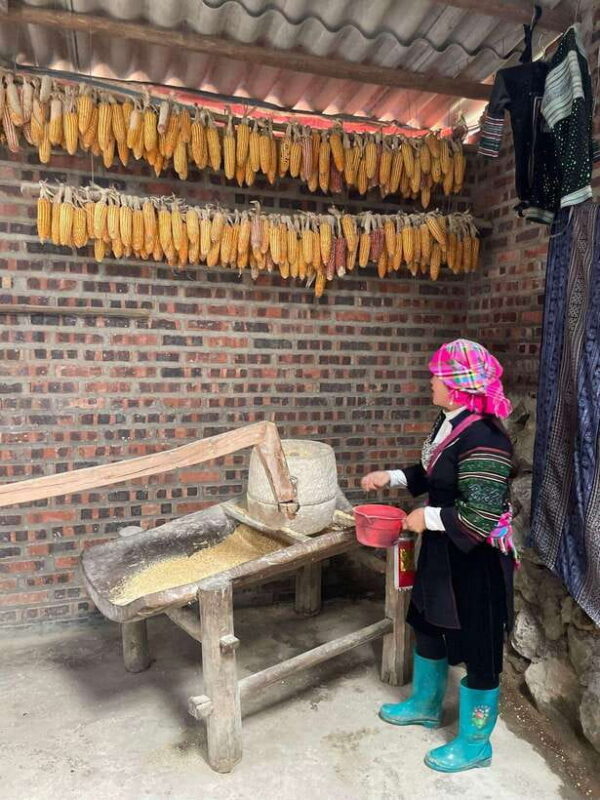 Trekking Sapa 1 Day With Local Guide, Terraced Rice Fields - The Value and Practical Considerations