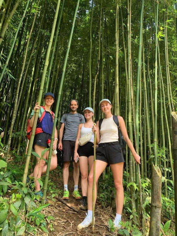 Trekking Sapa 1 Day With Local Guide, Terraced Rice Fields - The Sum Up