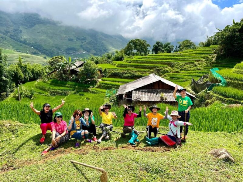 Trekking Through Rice Terraced Fields - 1 Day Private Tour - Who Will Love This Tour?