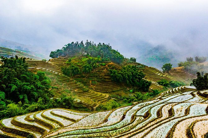 Trekking Through Rice Terraced Fields - 1Day - Is the Tour Worth It?